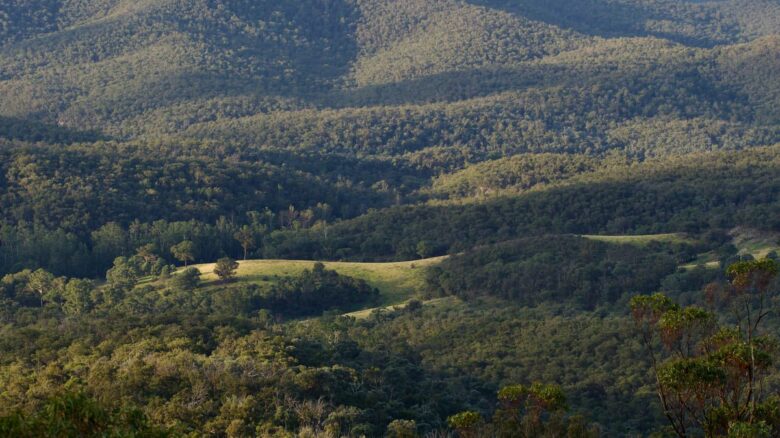 Linking landscapes for threatened species